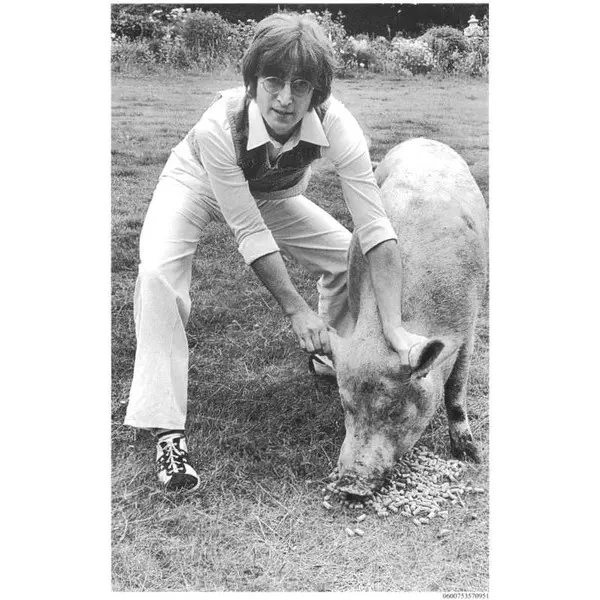 John Lennon – Imagine (Reissue Remastered Poster Postcards) (LP ...